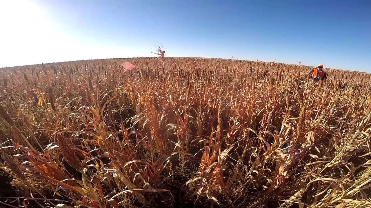 presho south dakota II - YouTube