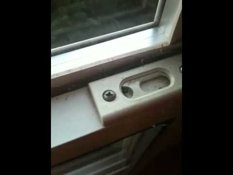 Screaming fly caught in a web - YouTube