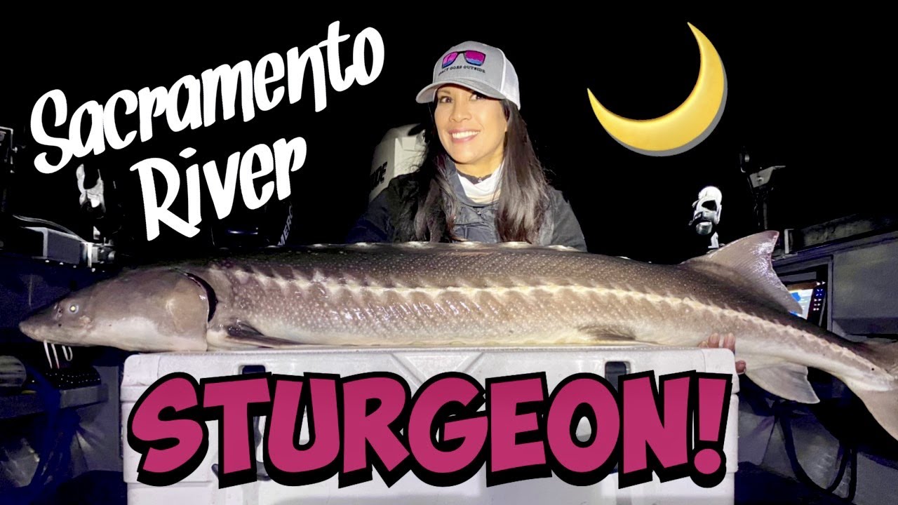 STACY GOES NIGHT FISHING 🌙🎣 - Sacramento River Sturgeon Fishing + BONUS ...