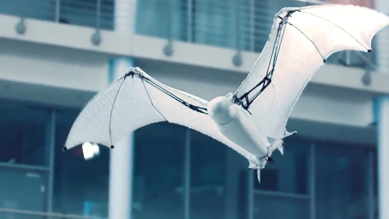6 AMAZING ROBOTIC ANIMALS YOU MUST SEE! - YouTube