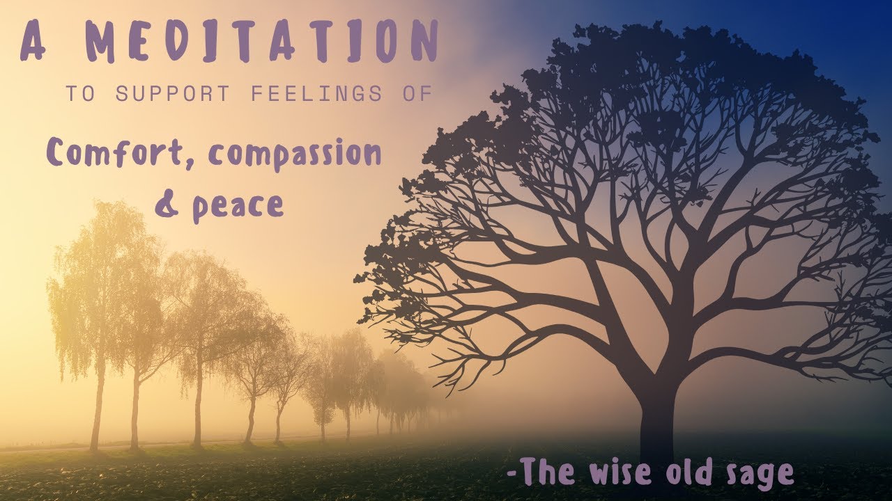 A meditation to support feelings of Comfort Peace and Compassion - YouTube