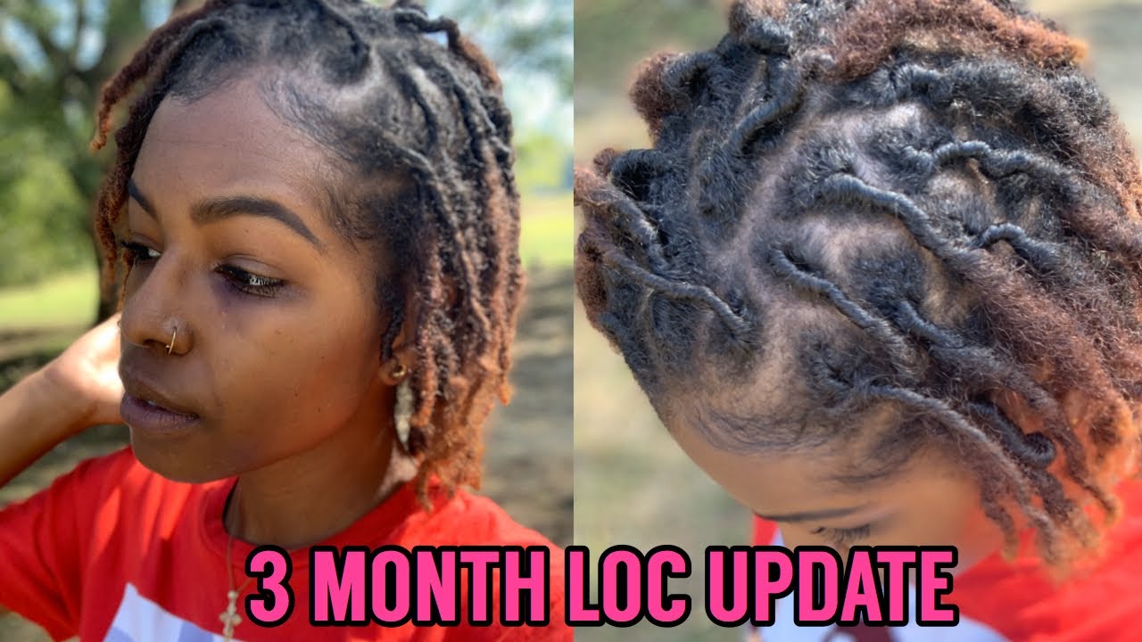 STARTER LOCS MONTHS 1-3| 3 Months Loc'd!| 3 MONTH LOC UPDATE!| Alaysia ...