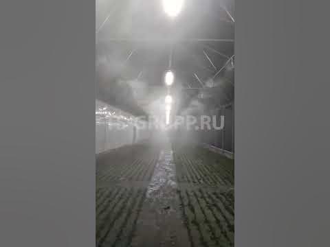 Системы туманообразования для теплиц. Фоггеры. Низкое давление - YouTube
