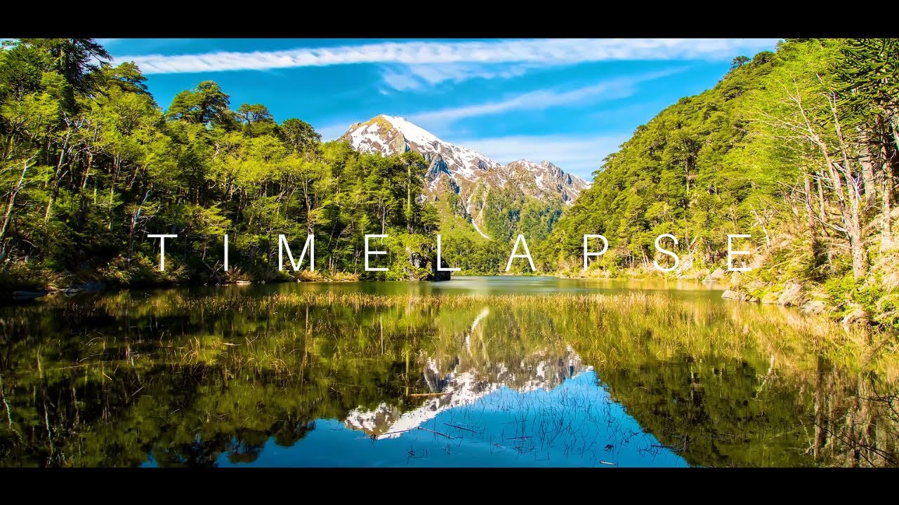 4K UHD Nature Timelapse | Wide Nature - YouTube