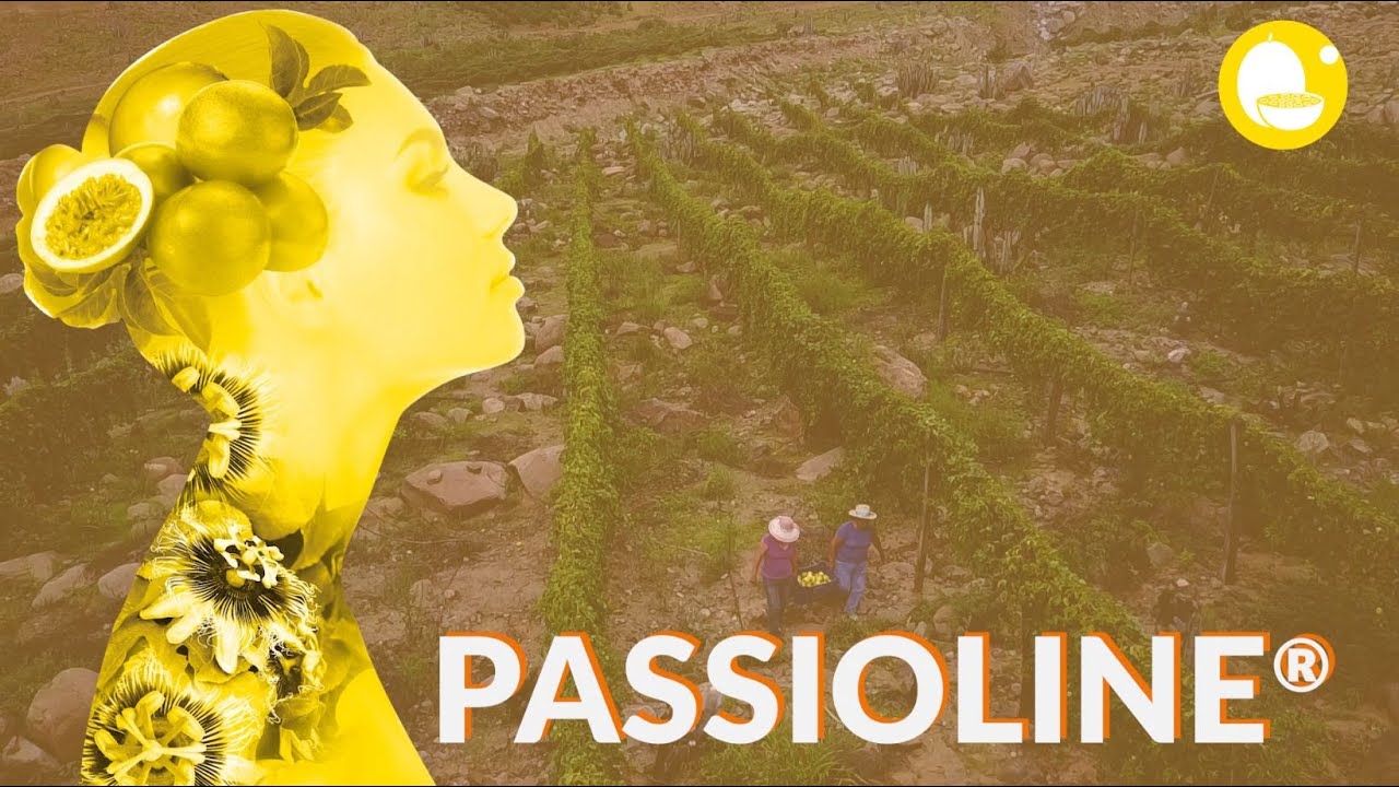 PASSIOLINE®, takes care of weakened and damaged skins! - YouTube