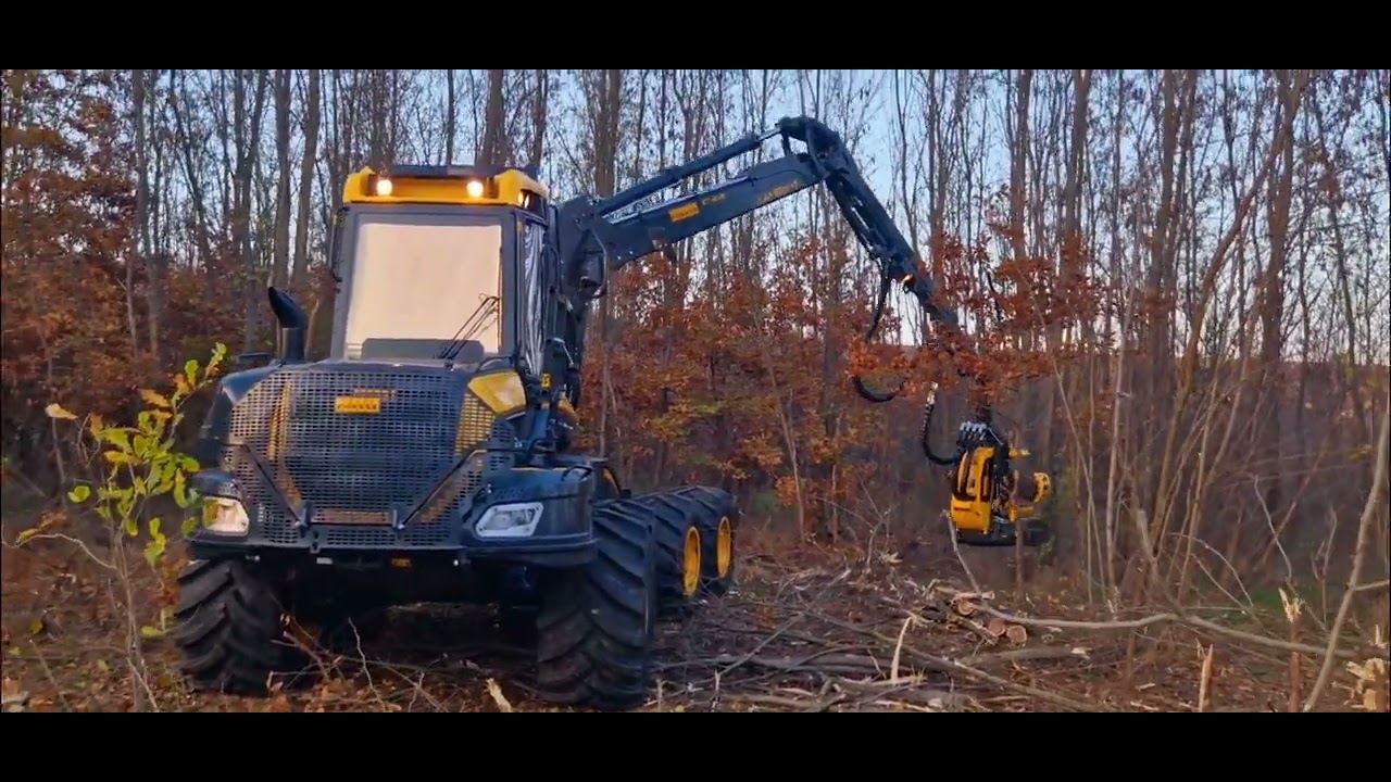 Гола сеч в акациево насаждение с Ponsse Fox 8x8 с харвестърна глава H6 ...