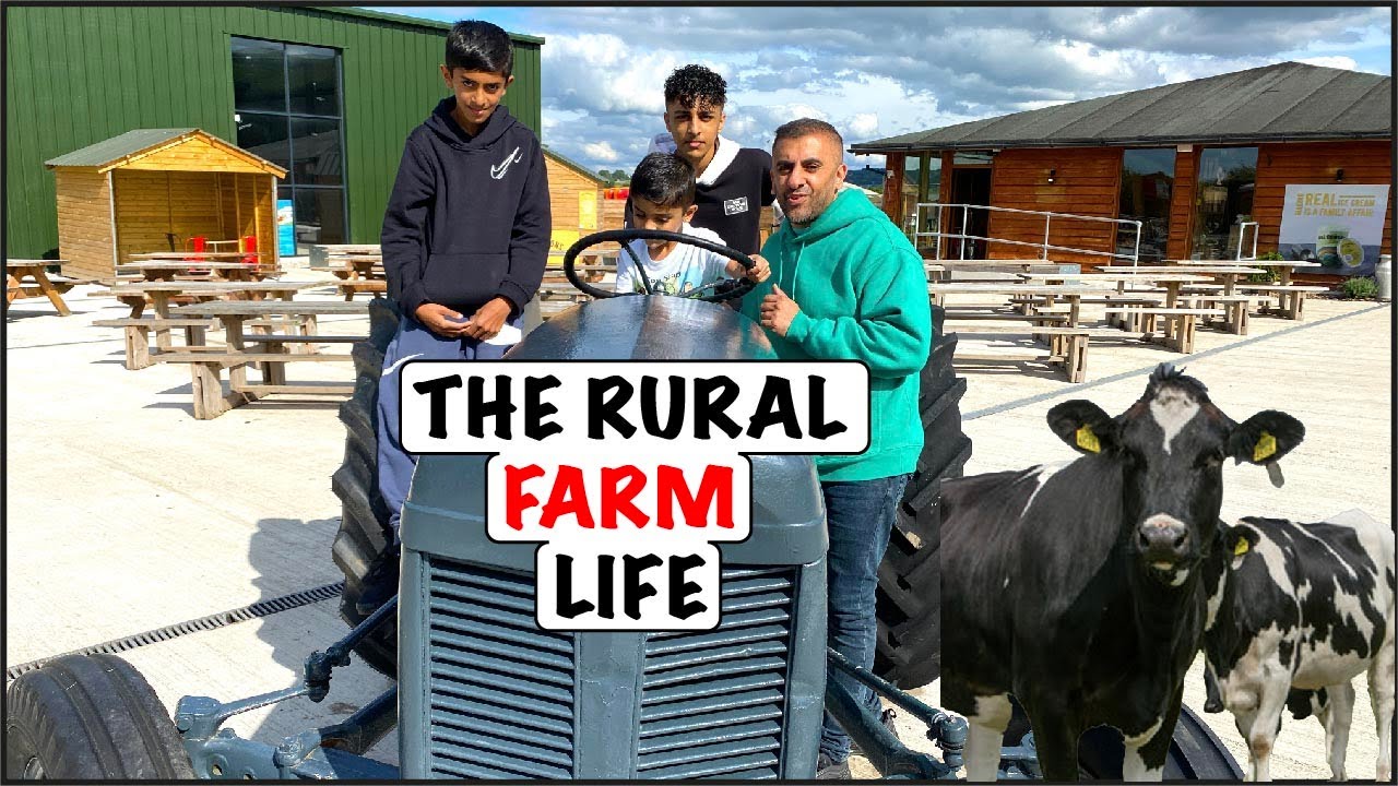 Mrs Dowsons Farm | Feeding The Farm Animals - YouTube