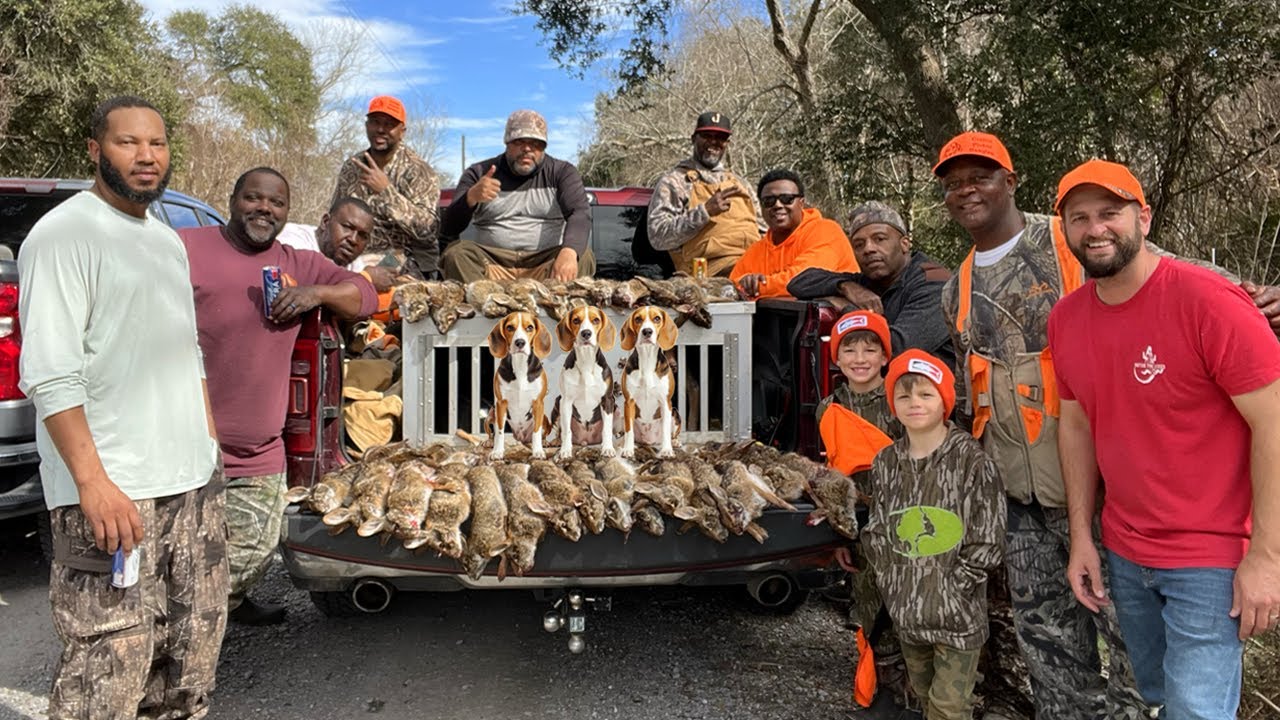 We Shot 40 Swamp Rabbits on a Hunt with Beagles - YouTube