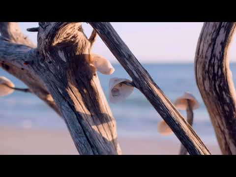 Ricao Bissiere - Pidame Lo