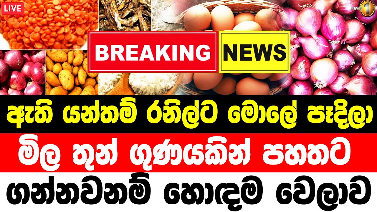 hiru news yesterday | breaking news today | BREAKING NEWS | TODAY here ...