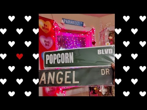 Valentine's Day with Popcorn & Angel! ️🕊️🕊️ - YouTube
