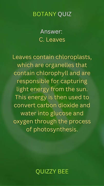 Botany Quiz | Are You a Botanical Genius? Test Your Plant Knowledge ...