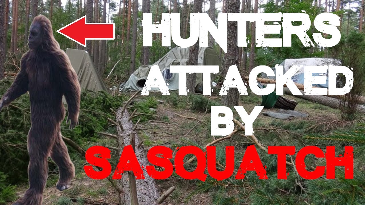 A group of SASQUATCH TERRORIZED and ATTACKED Moose hunter's camp! - YouTube