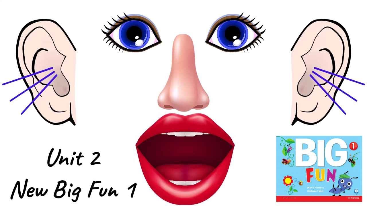 Stand Up! Body Parts & Animals 🦋🐞 | Preschool Learning Video - YouTube