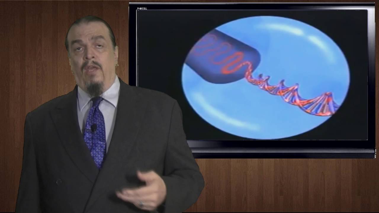 Ms Hs Ls3 B Meiosis Evolution Of Sex Youtube