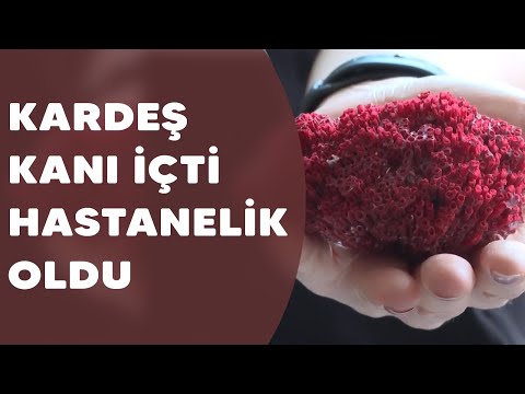 Kardeş kanı içti hastanelik oldu!