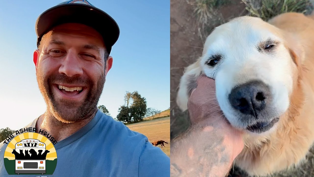 Sometimes the pack misbehaves but that's totally okay with me | The ...