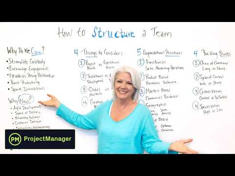 How to Structure a Team - Project Management Training