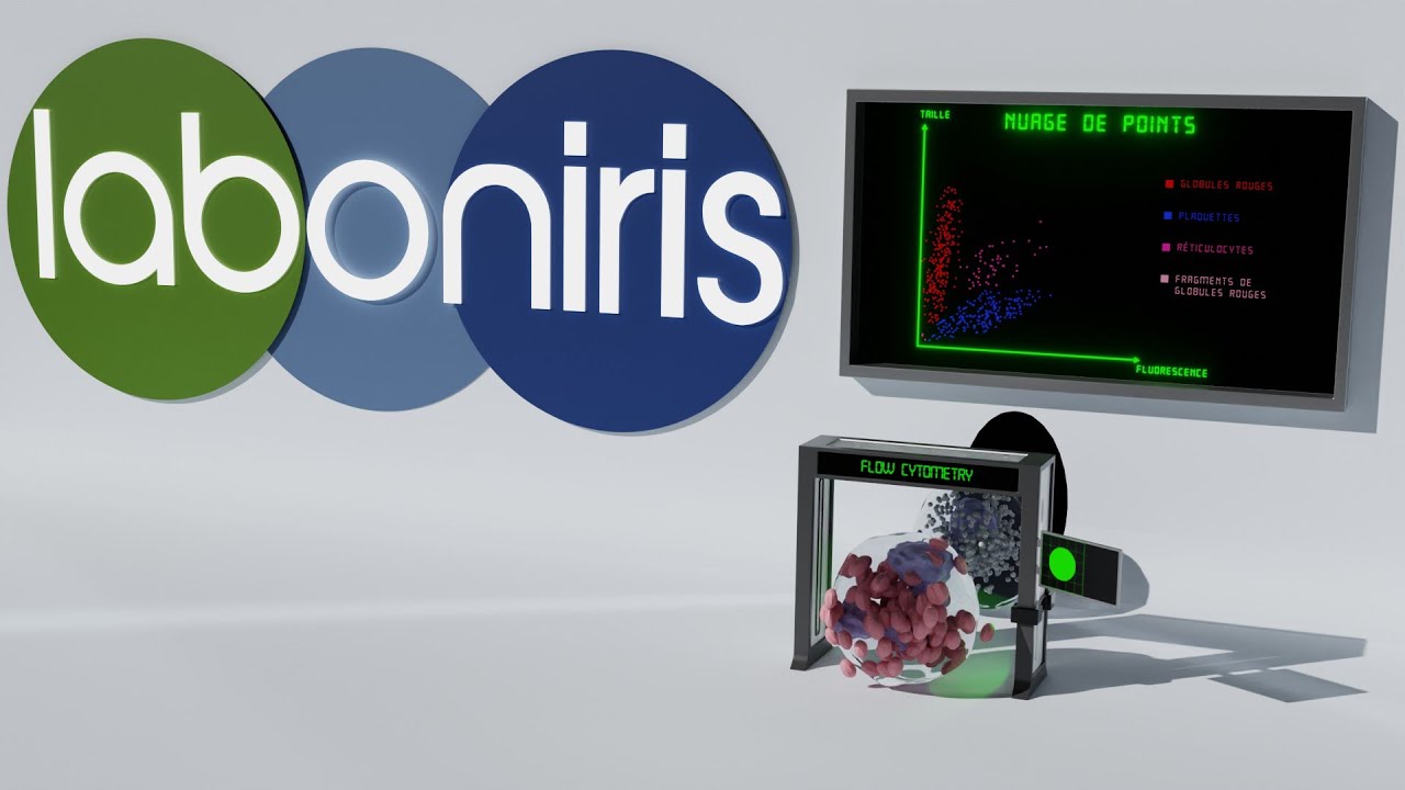 Présentation LabOniris - YouTube