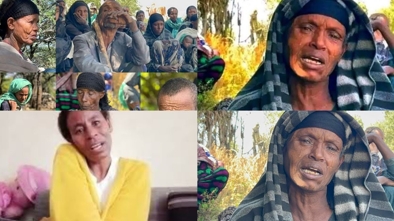 Uuuf 😭😭 Haadha koo uummata nagaaf Waaqayyo haa dubbatu. Yaa Waaqayyo ...