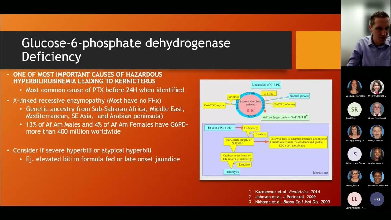 Hyperbilirubinemia: A Review of the AAP's 2022 Guideline with Brandon ...