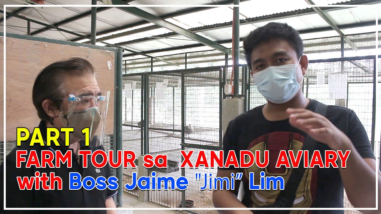 Farm Tour in Xanadu Aviary and Farm with Boss Jaime Lim part1 - YouTube
