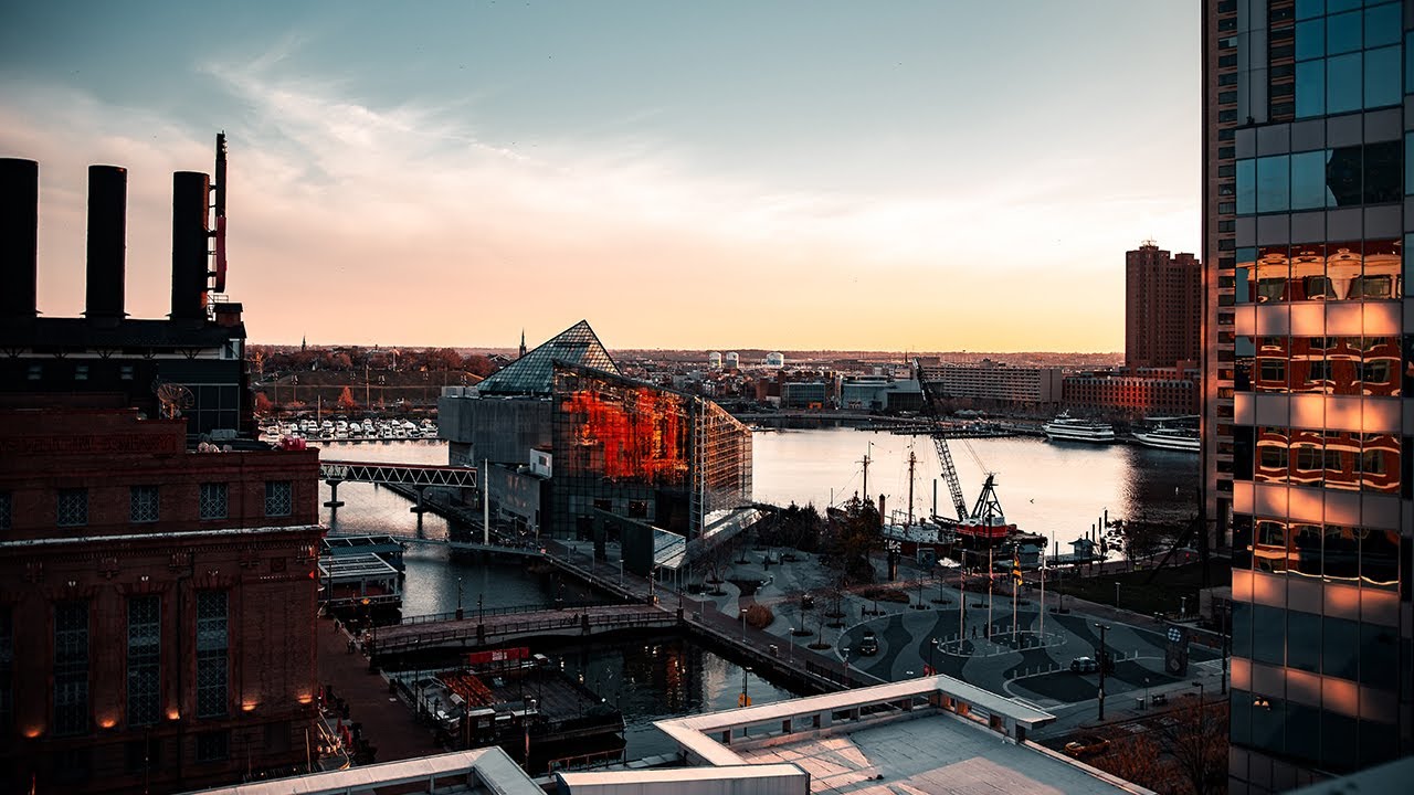 Jack Frazier - BACK TO YOU (feat. asiris) - YouTube