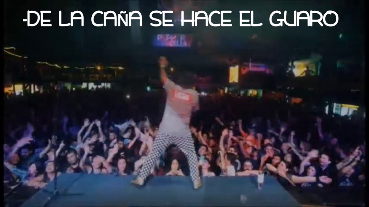 EL GUATO - FINCAFEST 2020, HIGHLIGHTS. - YouTube