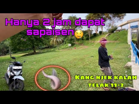 Mancing ikan berod/silli || Sambil JJS cari yang enak enak || Park 2 ...
