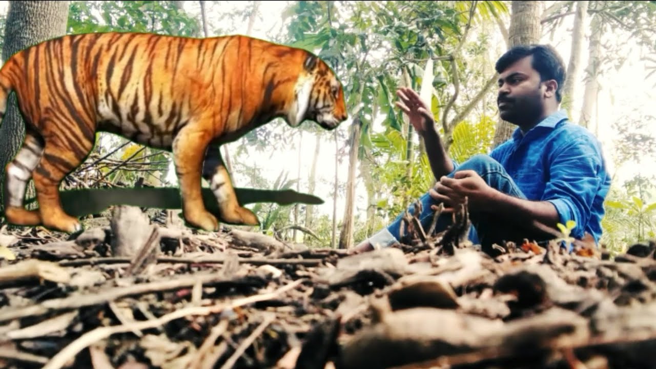 Tiger Editing Kinemaster - YouTube