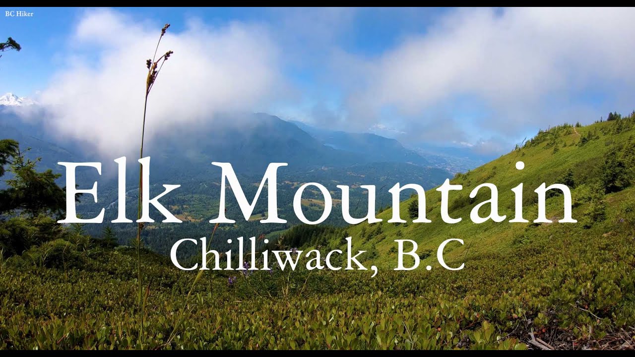 Elk mountain hike (Chilliwack, B.C) - YouTube