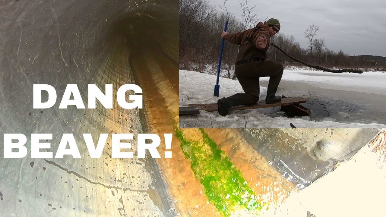 Plugged Culvert - YouTube