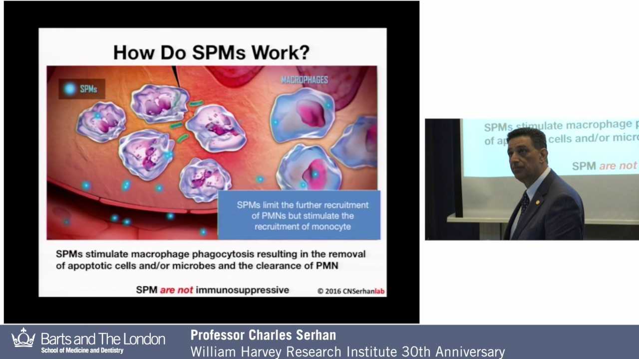 Charles Serhan - WHRI 30th Anniversary Conference 2016 - YouTube