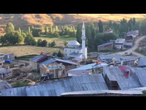 Saruhan koyu Bayburt