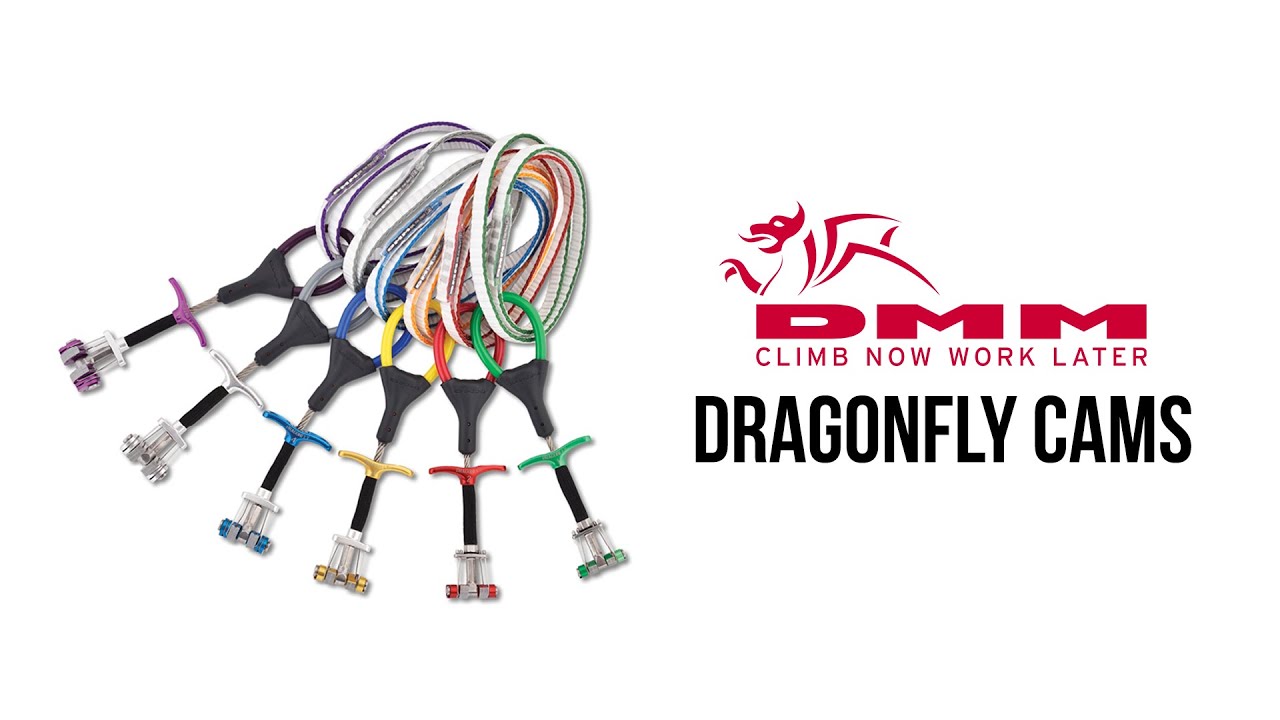Spotlight: DMM - Dragonfly Cams - YouTube