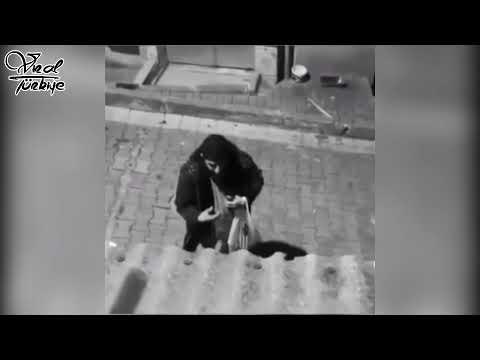 köpekle komünizm ve narsisizm konuşan sarhoş abimiz