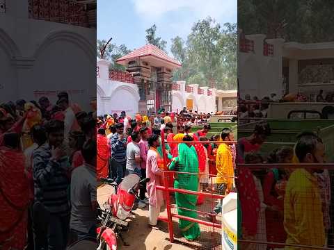 Thawe Temple🛕Jai Mata Di 🙏🌺#short #reels #navratri #jaimatadi #navratrispecial #god #thawe