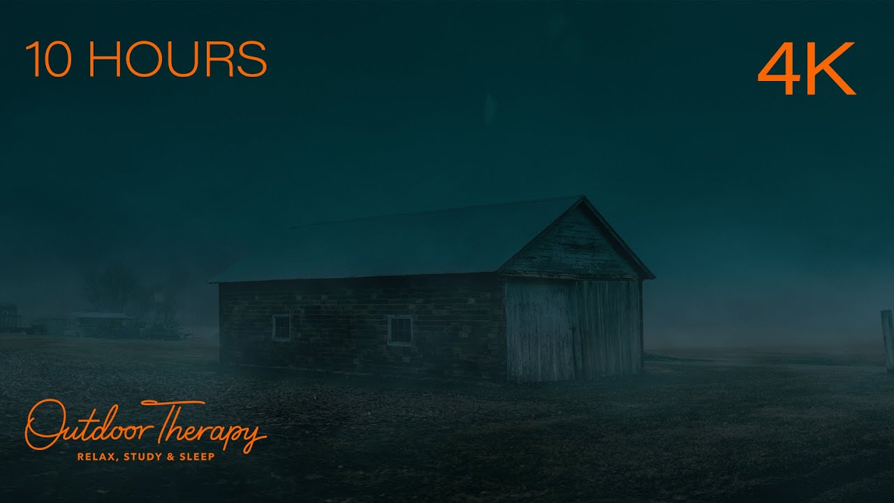 Strong Howling Wind Sounds for Sleeping | 10 HOURS | Relax & Study with ...