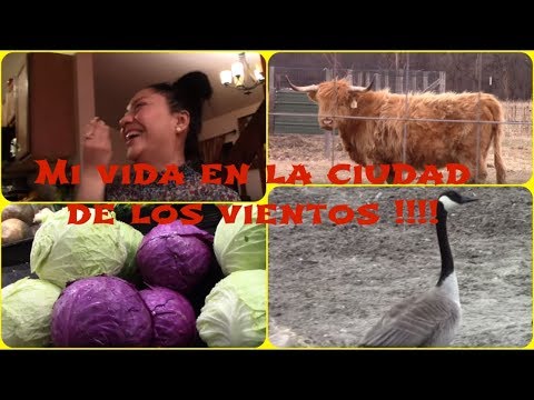 PAN DE ROYAL ESTILO TELOLOAPAN Y CONOCIENDO A LORENA. Blog# 139 - YouTube