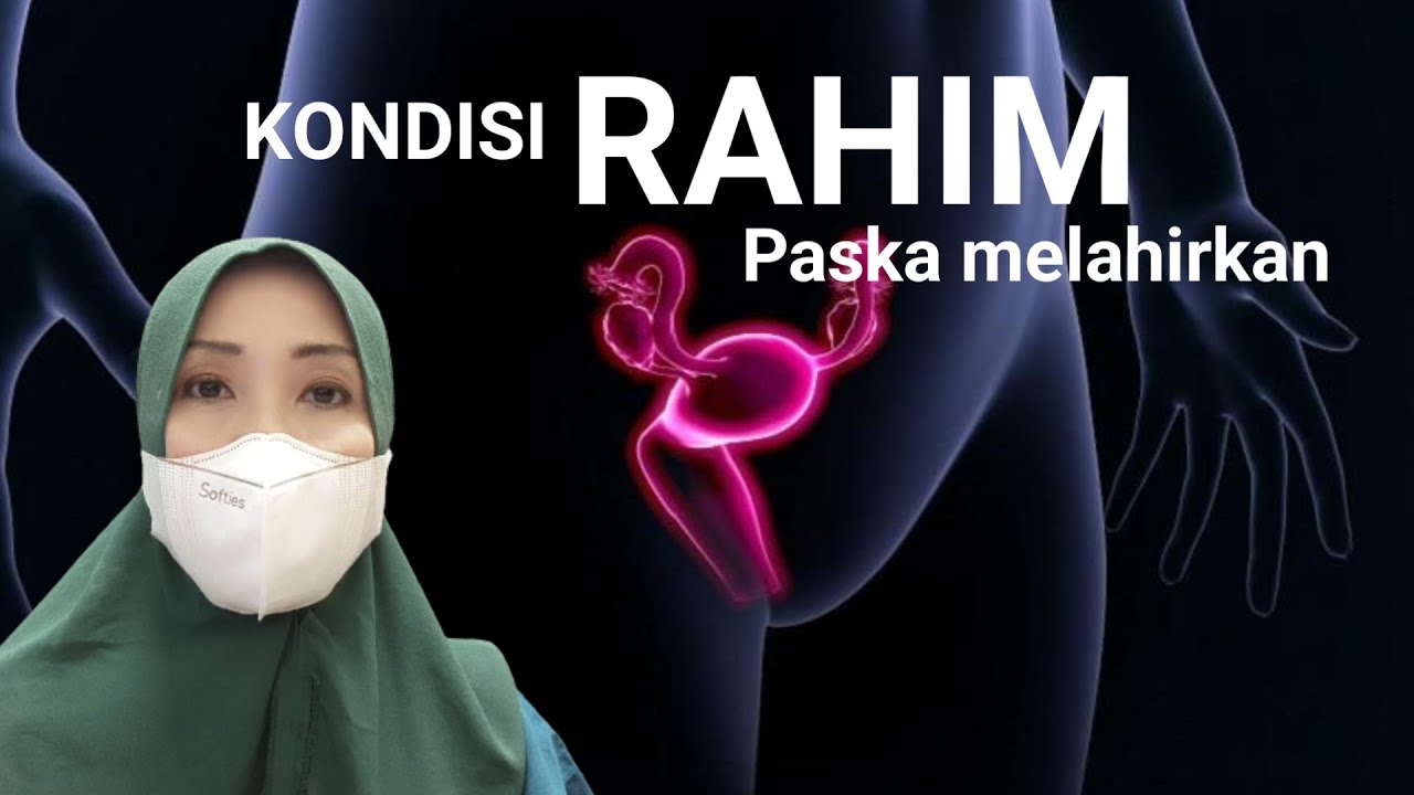 Kondisi RAHIM paska Melahirkan. Kapam rahim kembali ke bentuk semula - YouTube