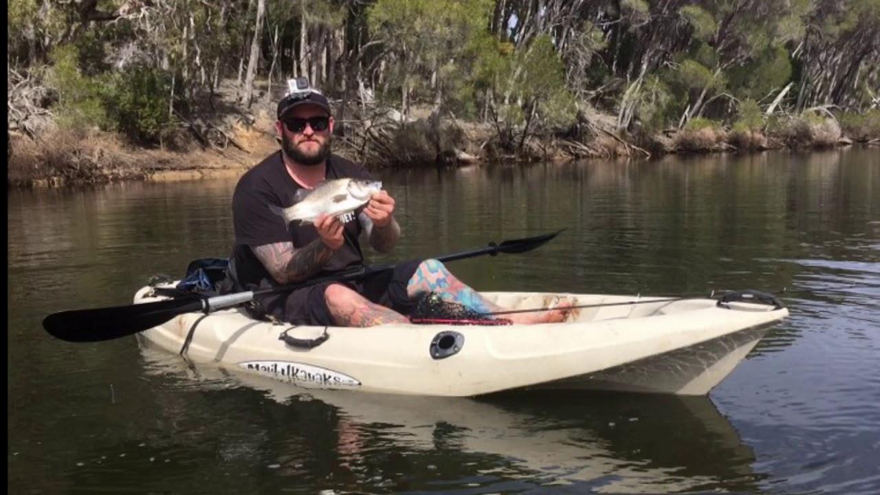 Bream and Estuary Perch fishing in kayaks gippsland - YouTube