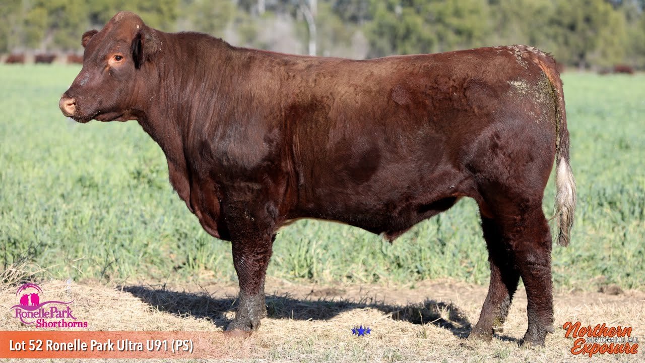 Lot 52 Ronelle Park Ultra U91 (PS) - YouTube