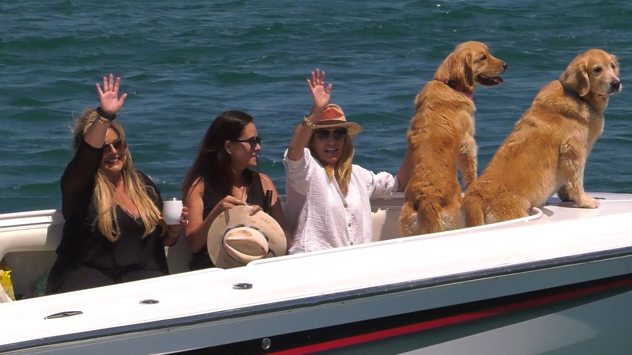 Bow Wow! - Boats Arriving And Leaving At Haulover Inlet Near Miami ...