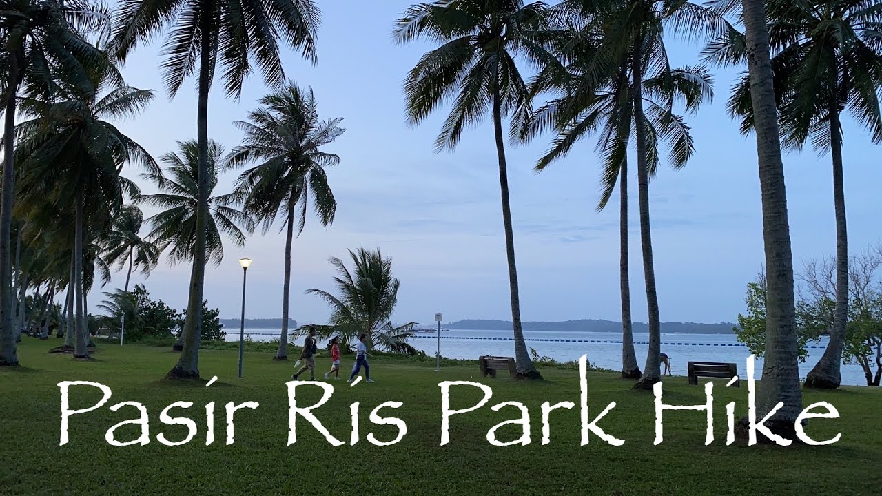 Pasir Ris Park and Beach Hike | Campsites - YouTube
