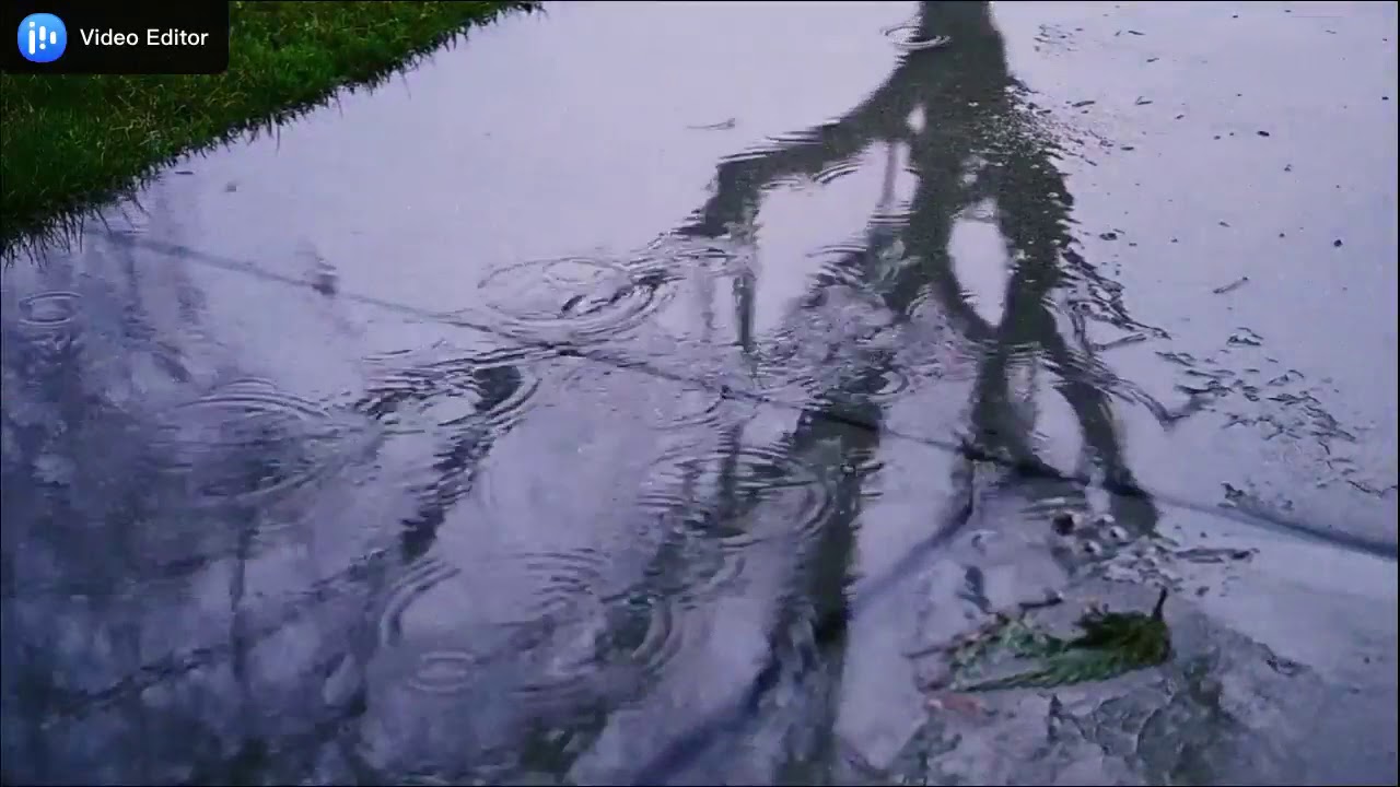 SER OU NÃO SER de W. Shakespeare - Solilóquio de HAMLET - LEITURA ...