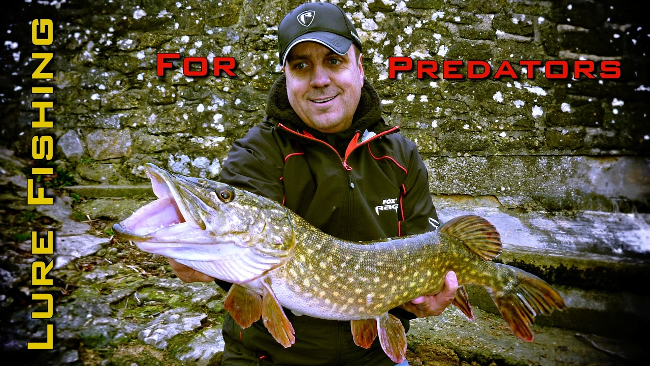 Lure fishing for Predators - YouTube