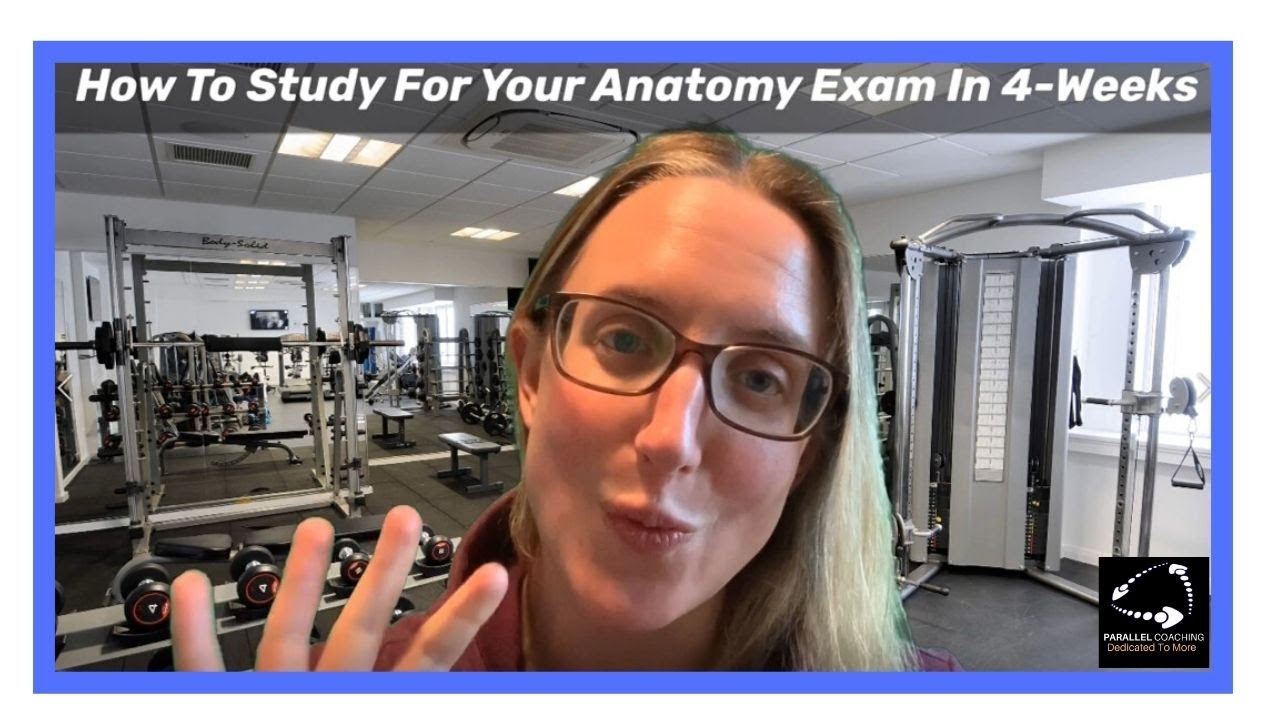 How To Study For Your Anatomy Exam in 4 weeks - YouTube