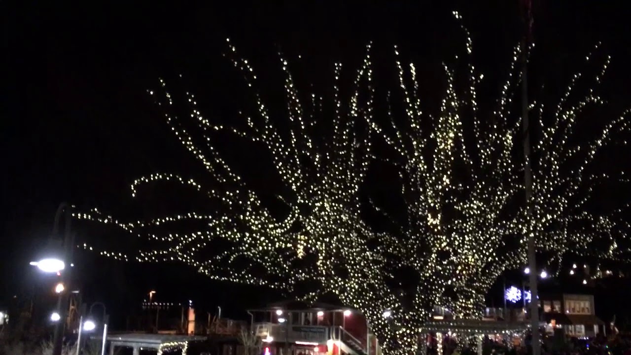 Christmas Tree Lighting: Friday Harbor - YouTube