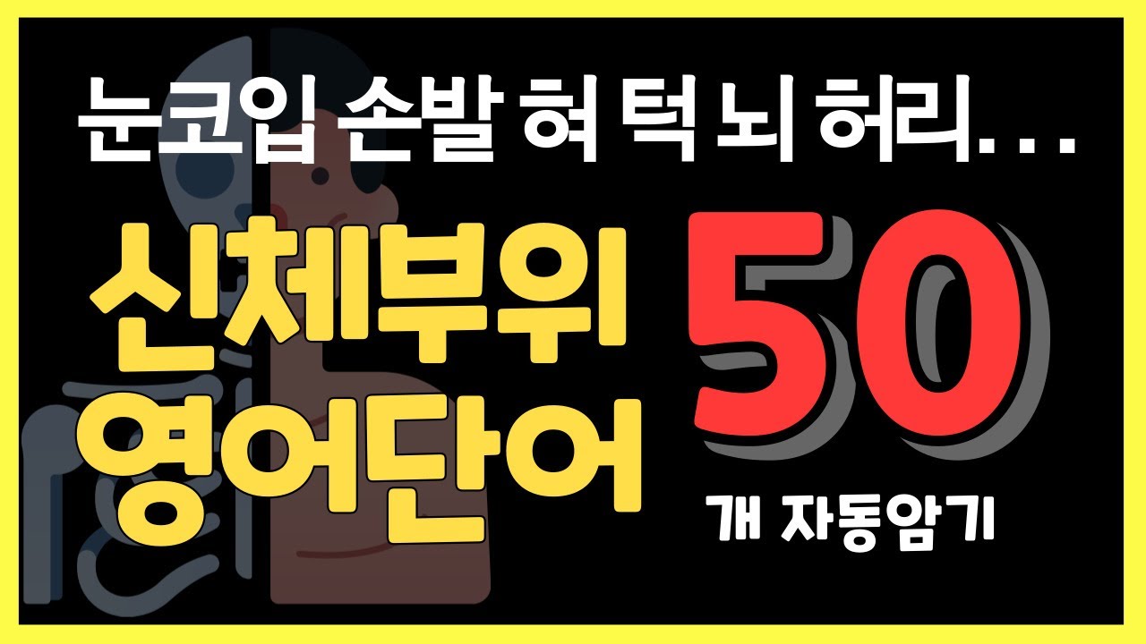 신체부위 영어단어 50개ㅣ 초간단 영어단어 몸 명칭 기초영어 단어 암기장ㅣ눈코입 팔다리 혀 턱 근육 뇌 필수 영단어 듣기ㅣ영어