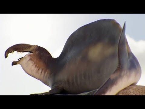 spinofaarus - YouTube